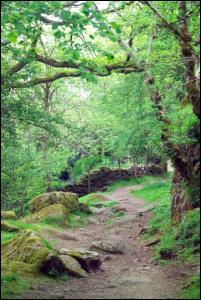 Psalms 15–17: Integrity & God’s Paths – Kindling for Candles